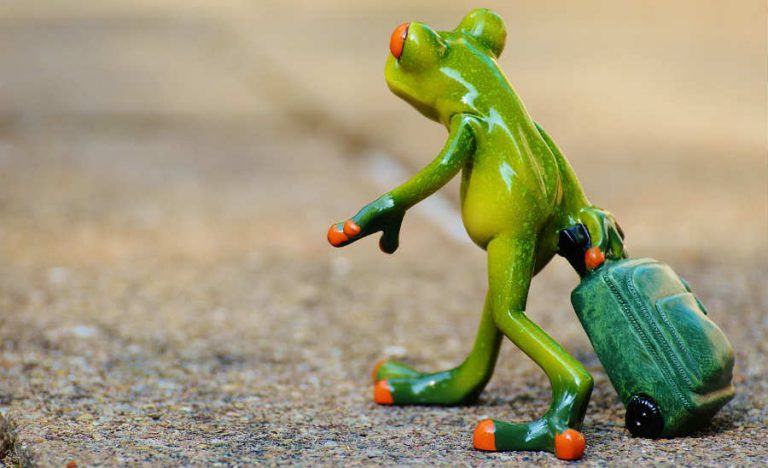 What is HYG? The Meaning of HYG. HYG Acronym