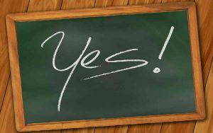 What is YASS? YASS meaning. What does YASS mean?